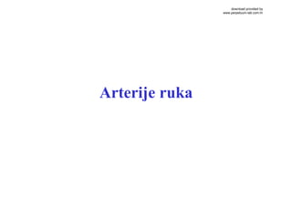 Arterije ruka | PDF