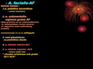 Krvni sudovis glave i vrata | PPT