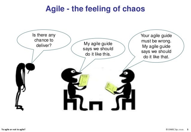 Krzysztof Malus. To agile or not to agile