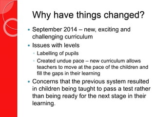 KS1 Curriculum Expectations | PPTX