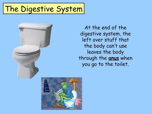 KS2---Digestive-System- Mouth, Esophagus/Gullet, stomach, small ...