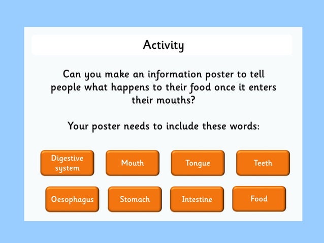 KS2---Digestive-System- Mouth, Esophagus/Gullet, stomach, small ...