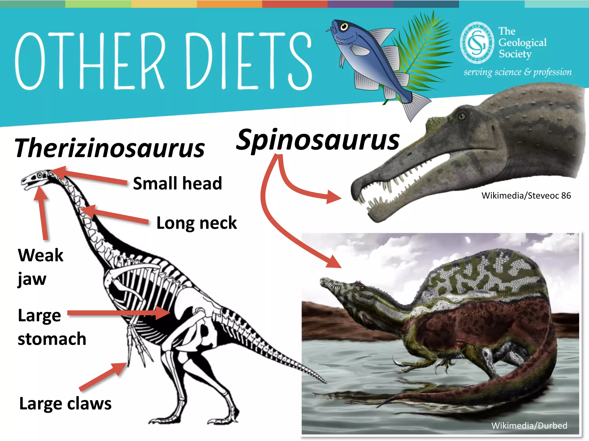 A presentation on dinosaurs | PDF