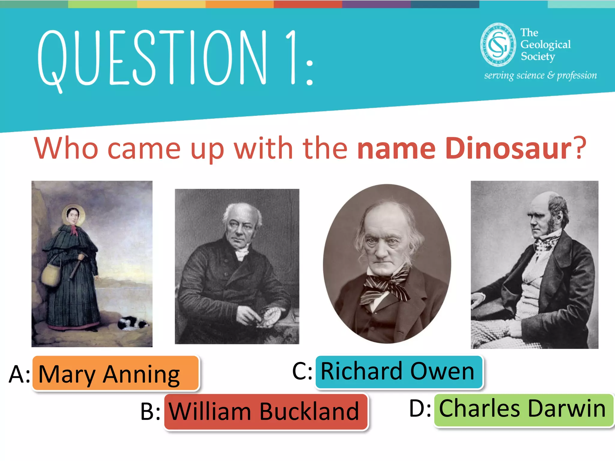 A presentation on dinosaurs | PDF