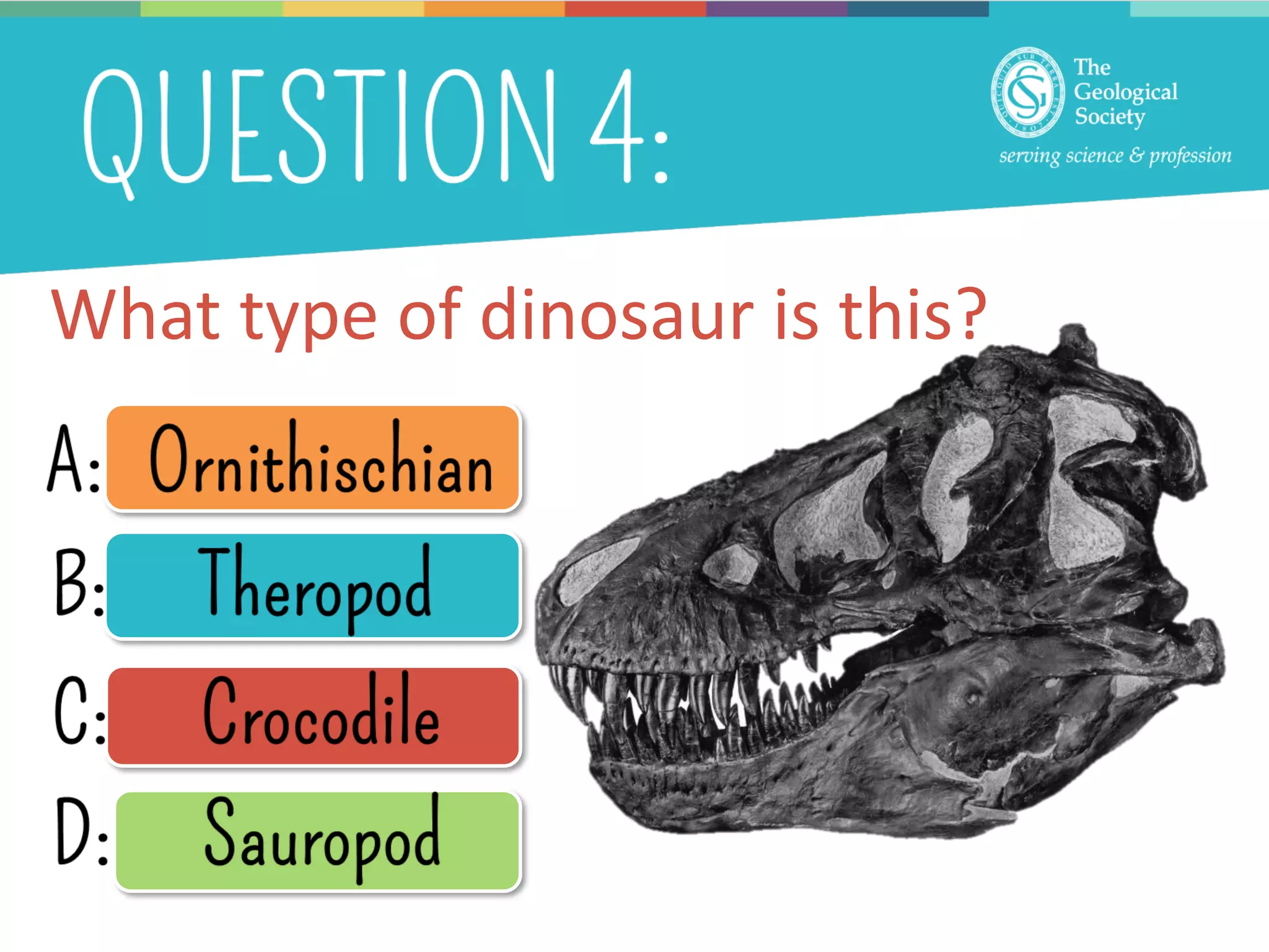 A presentation on dinosaurs | PDF | Reptiles | Pets