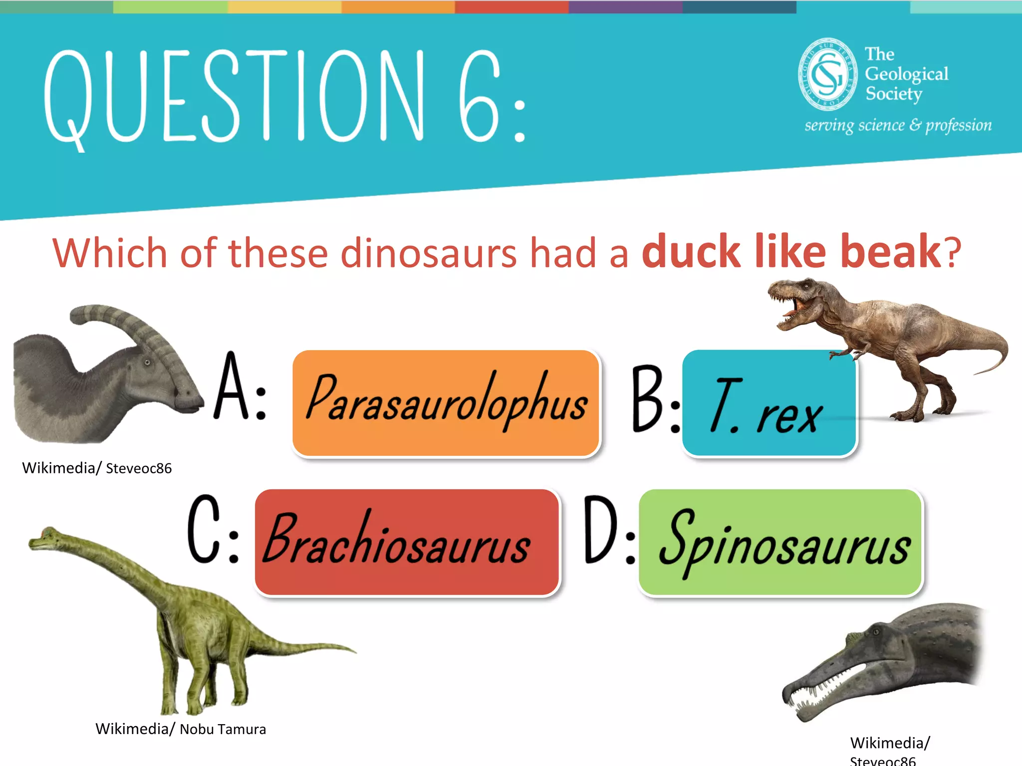 A presentation on dinosaurs | PDF