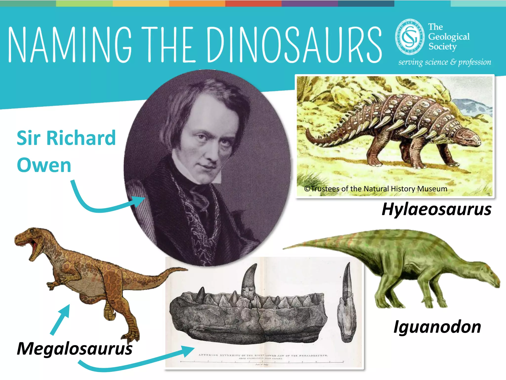 A presentation on dinosaurs | PDF | Reptiles | Pets