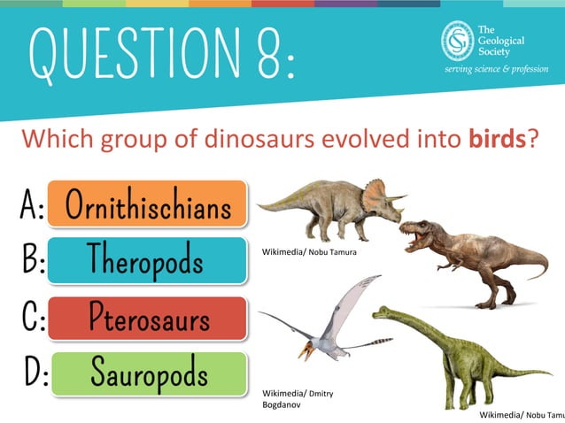 A presentation on dinosaurs | PDF | Reptiles | Pets