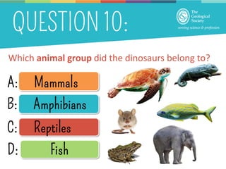 A presentation on dinosaurs | PDF