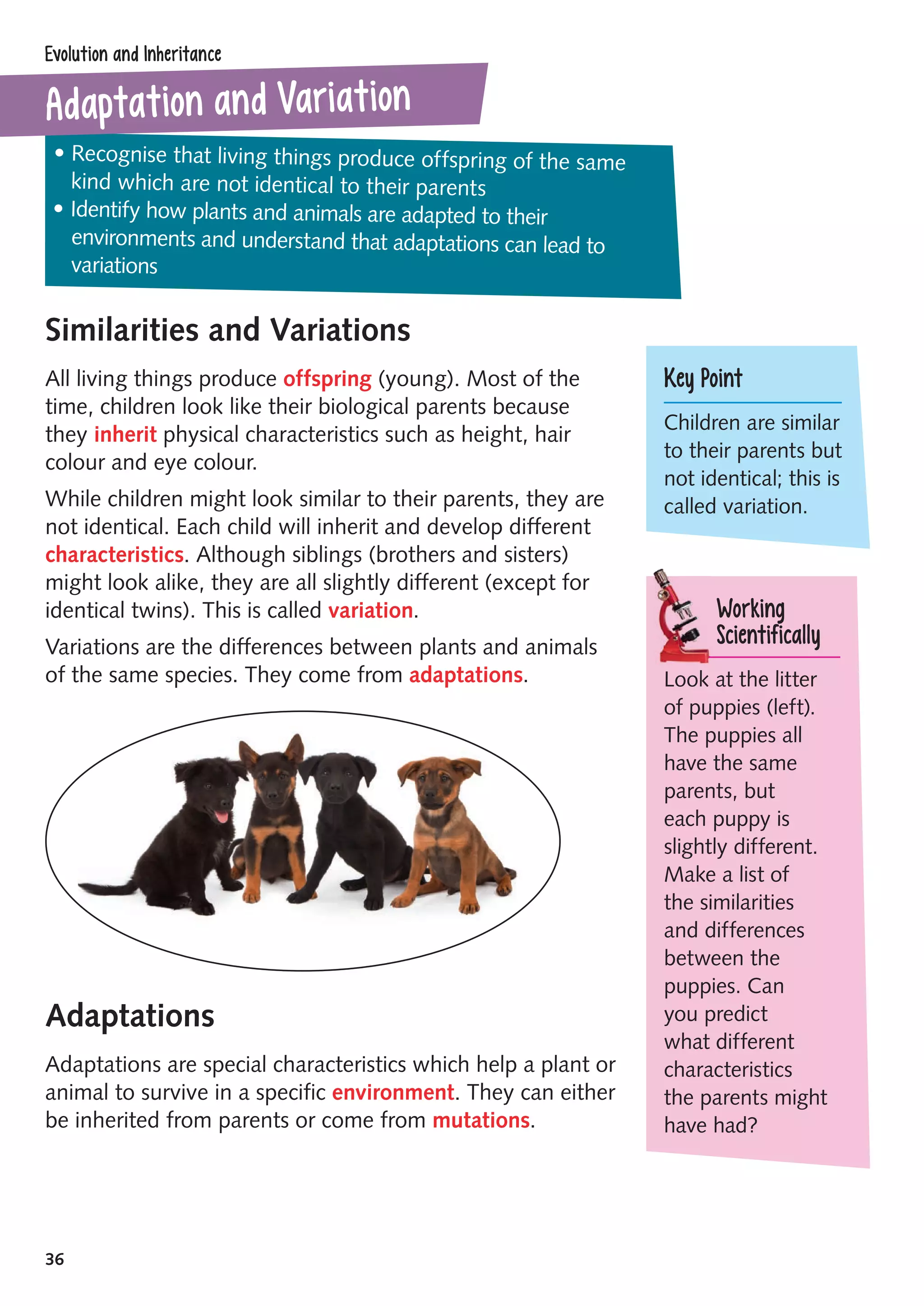 Ks2 science sa_ts_study_book | PDF