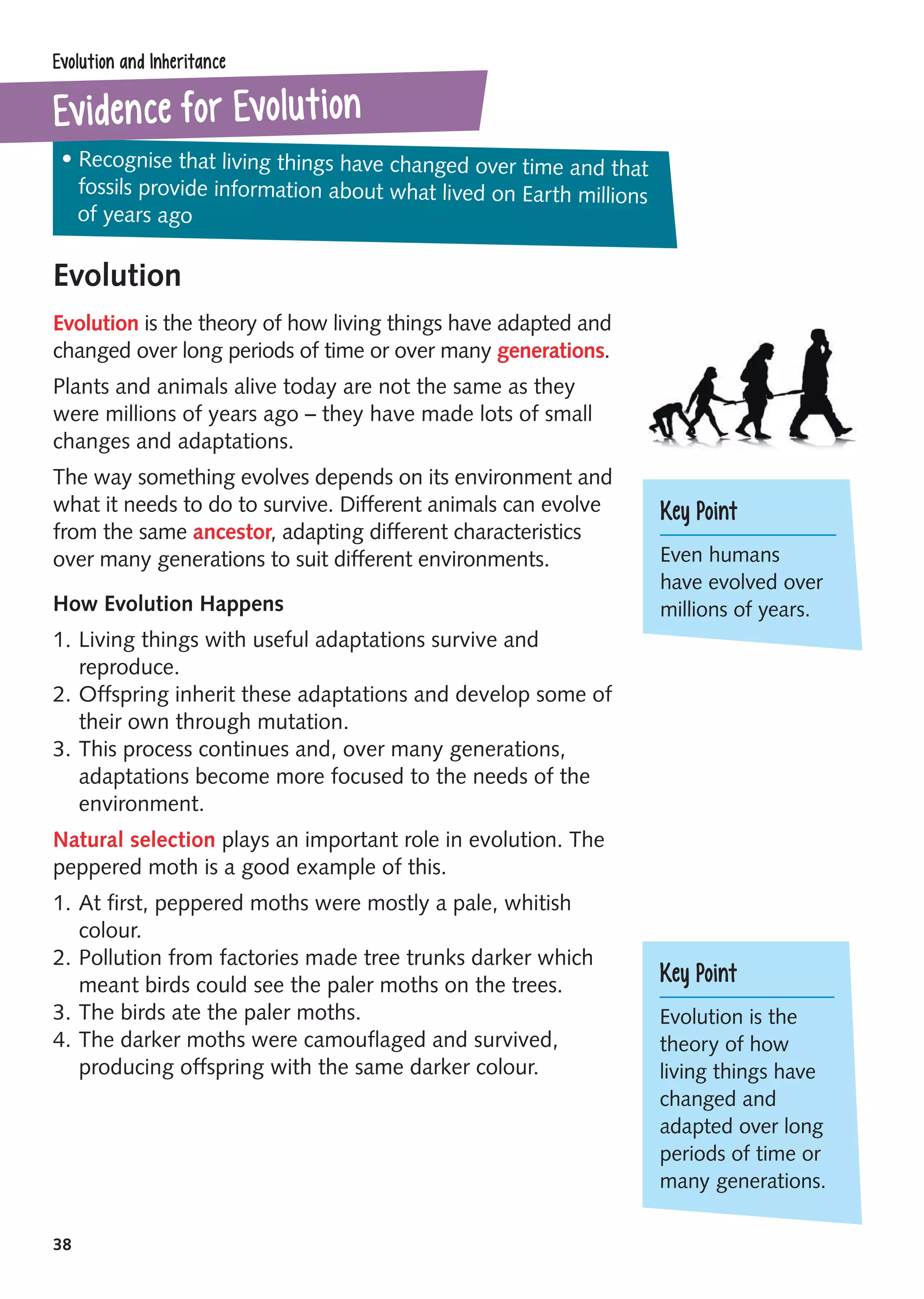 Ks2 science sa_ts_study_book | PDF