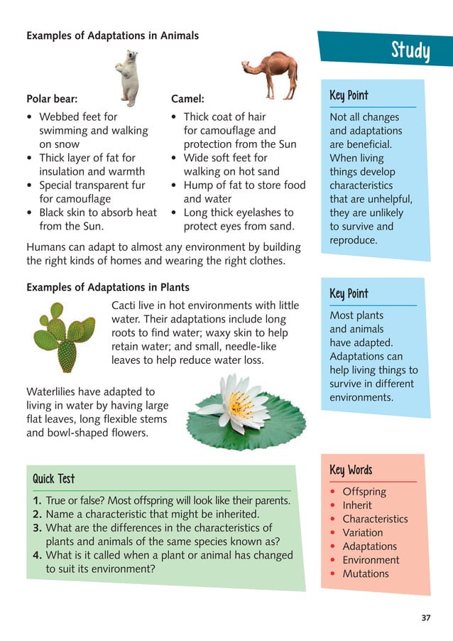 Ks2 science sa_ts_study_book | PDF