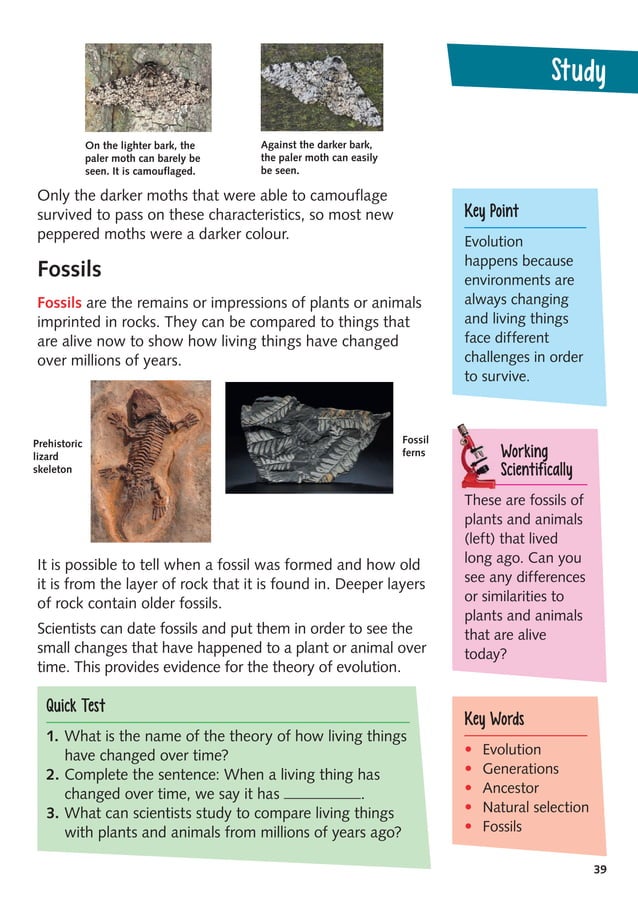 Ks2 science sa_ts_study_book | PDF