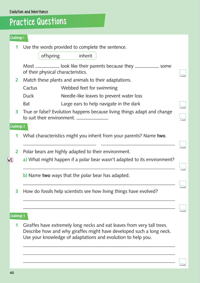 Ks2 science sa_ts_study_book | PDF