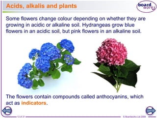 KS3 Acids and Alkalis.pptx