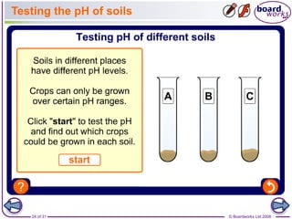 KS3 Acids and Alkalis.pptx