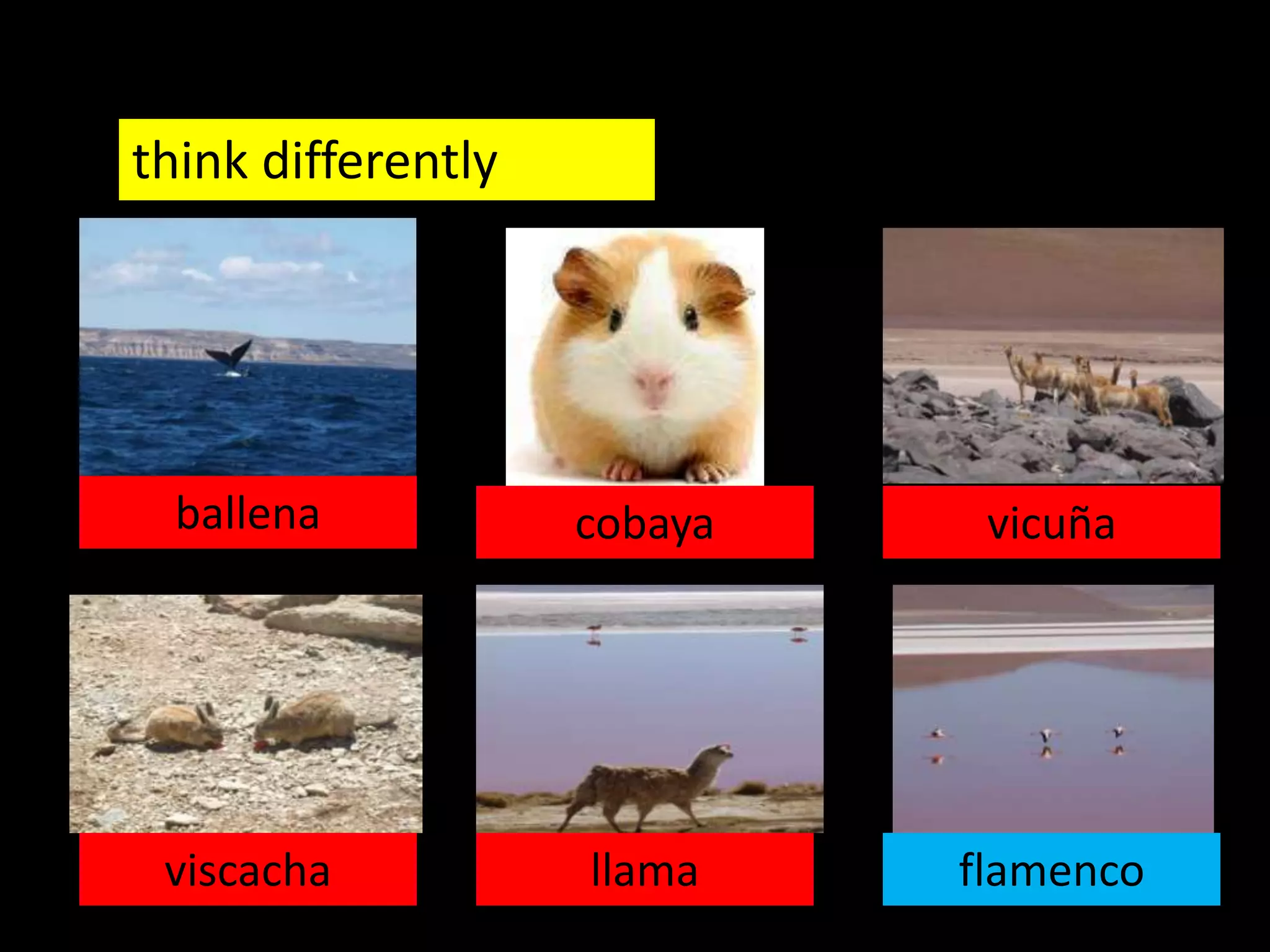 Creative MFL ideas for KS3 and KS4 | PPTX