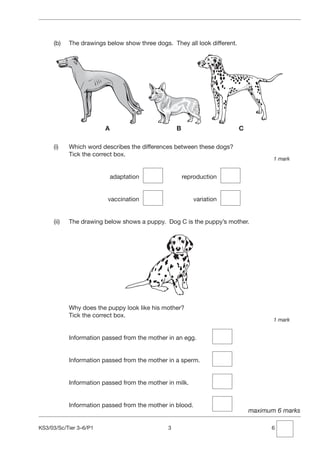 Ks3 science 2003 t3 6 paper 1 | PDF