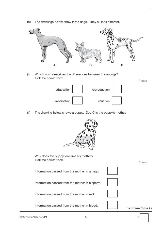 Ks3 science 2003 t3 6 paper 1