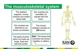 ks4-bone-muscle-and-joint-injuries.pptxx | PPTX