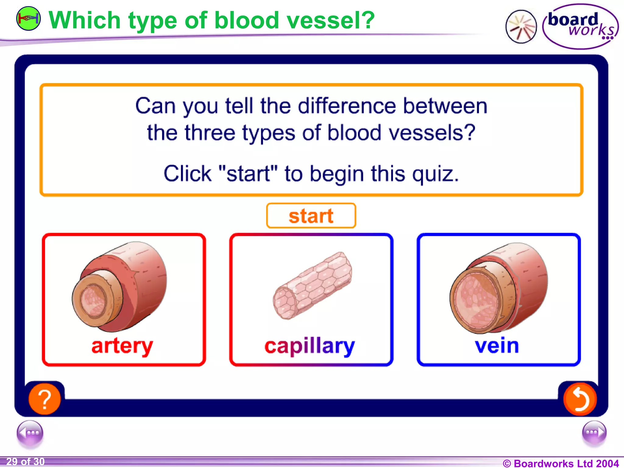 Ks4 blood vessels | PPT