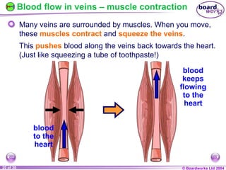 Ks4 blood vessels | PPT