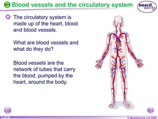 Ks4 blood vessels | PPT
