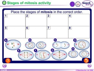 Ks4 cell division and fertilization | PPT