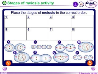 Ks4 cell division and fertilization | PPT