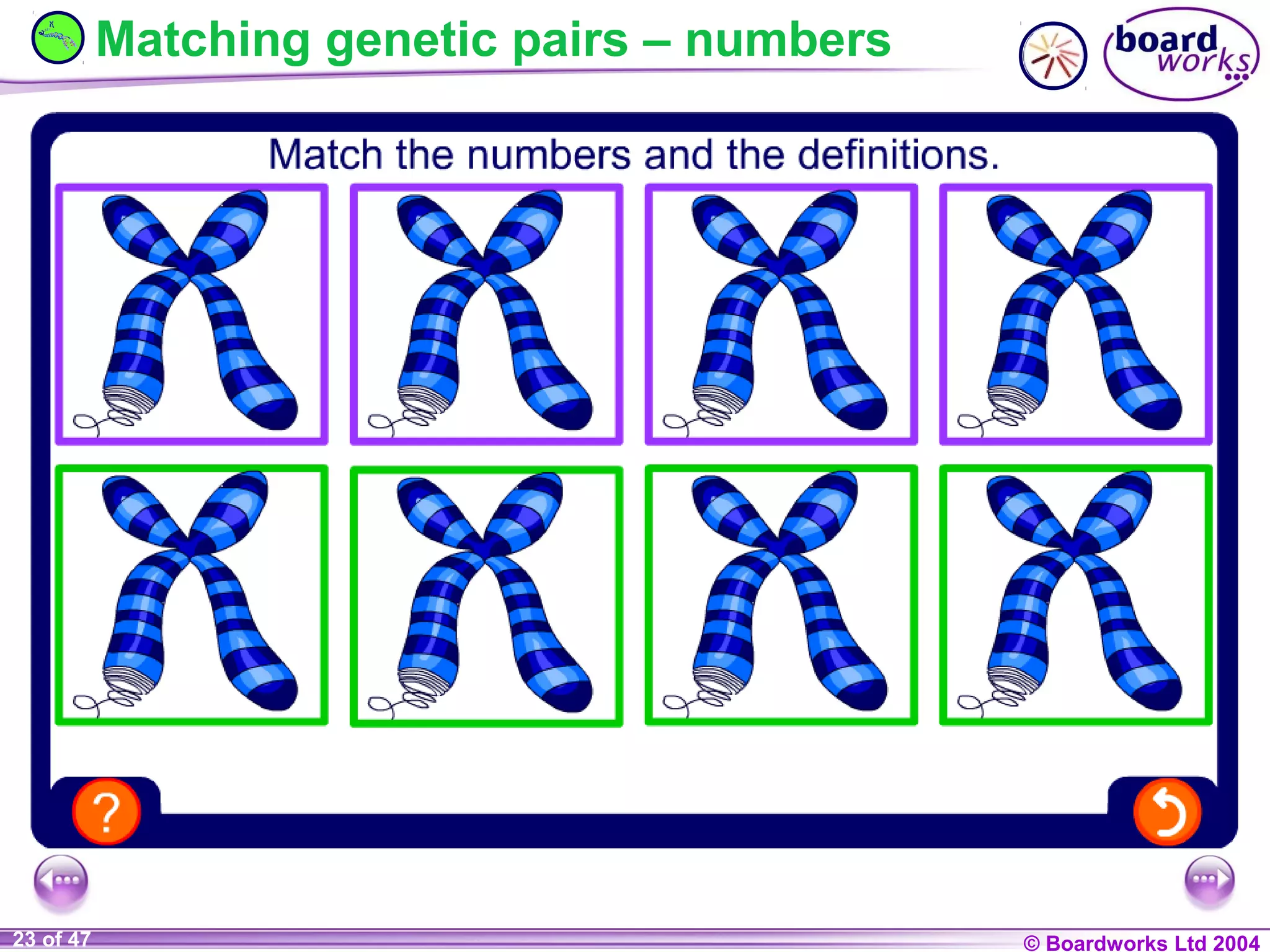 Ks4 chromosomes, genes and dna | PPT