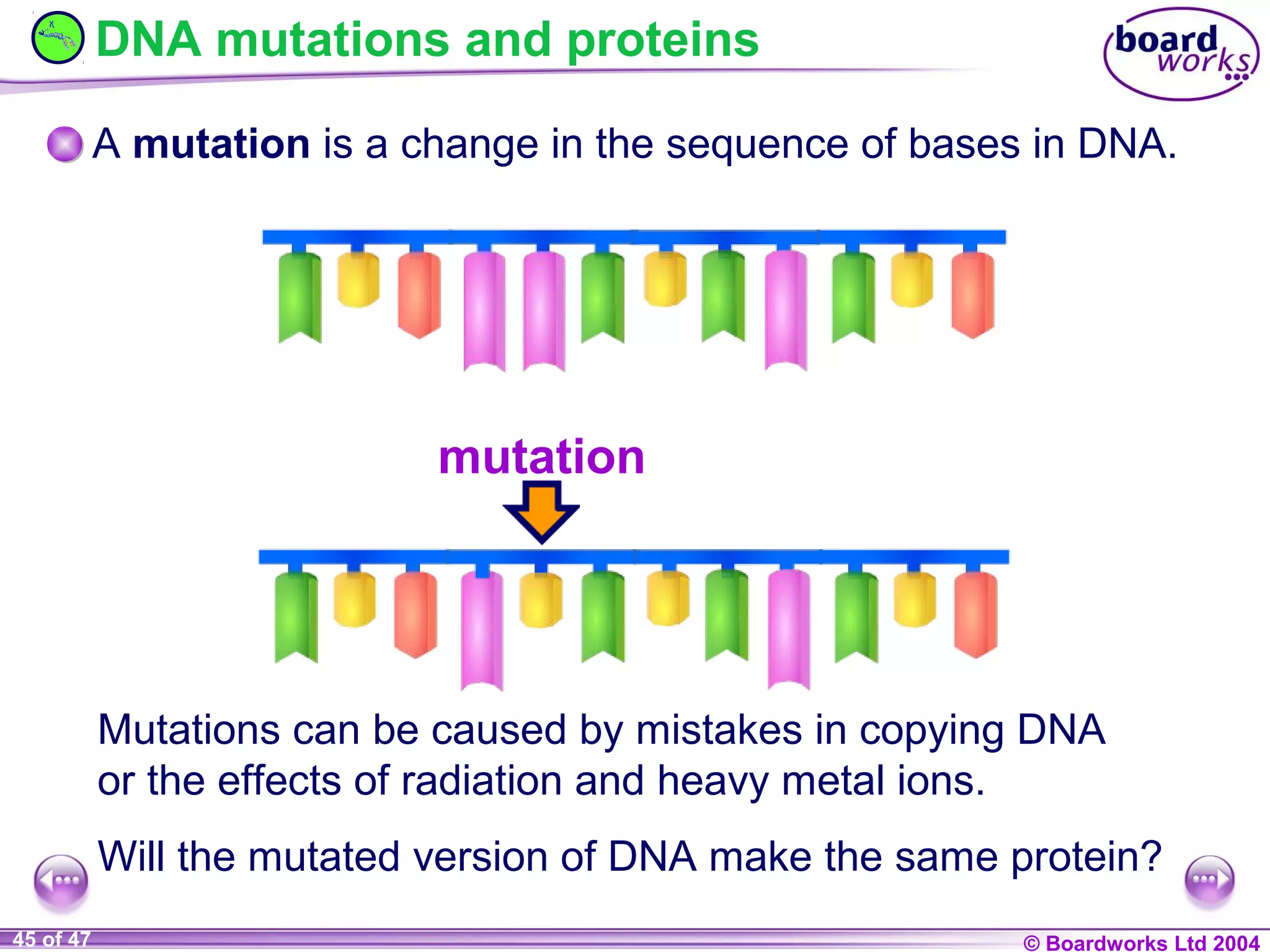Ks4 chromosomes, genes and dna | PPT