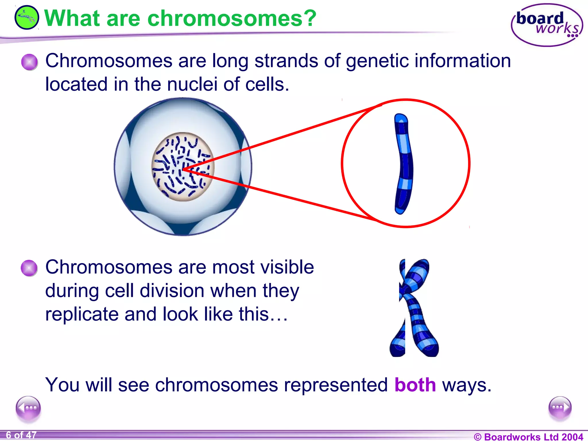 Ks4 chromosomes, genes and dna | PPT