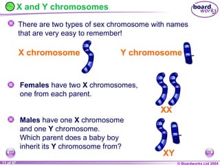 Ks4 chromosomes, genes and dna | PPT
