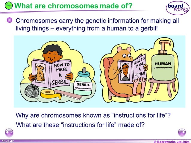 Ks4 chromosomes, genes and dna | PPT | Genetics | Science