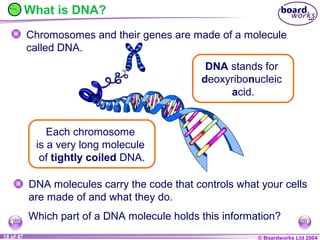 Ks4 chromosomes, genes and dna | PPT