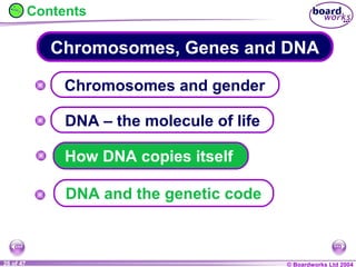 Ks4 chromosomes, genes and dna | PPT