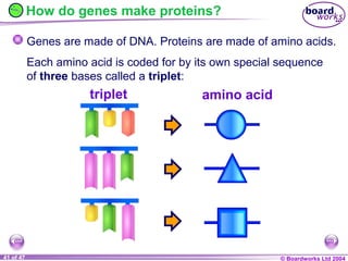 Ks4 chromosomes, genes and dna | PPT