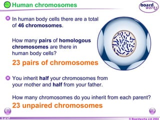 Ks4 chromosomes, genes and dna | PPT
