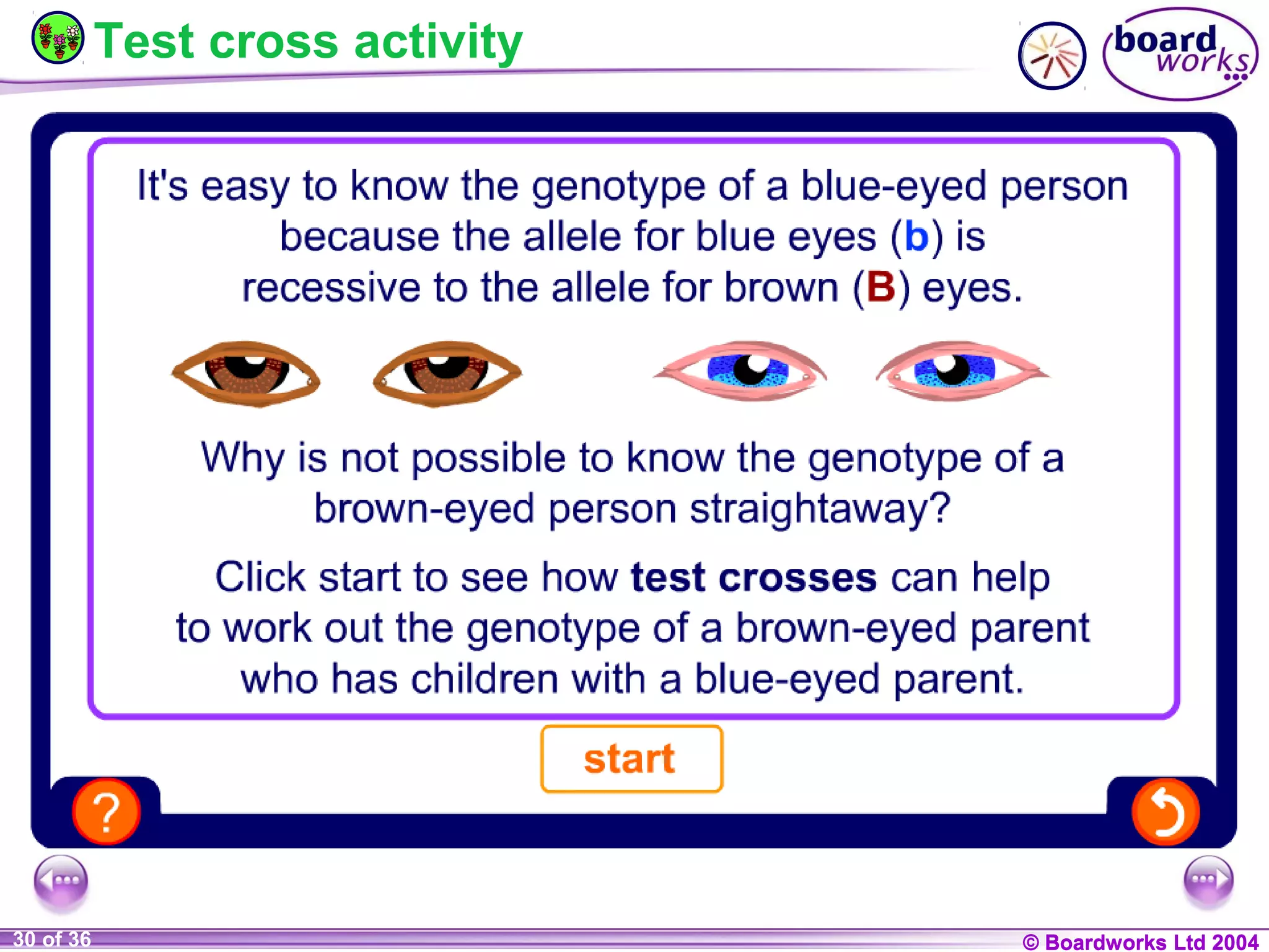 Ks4 inheritance | PPT