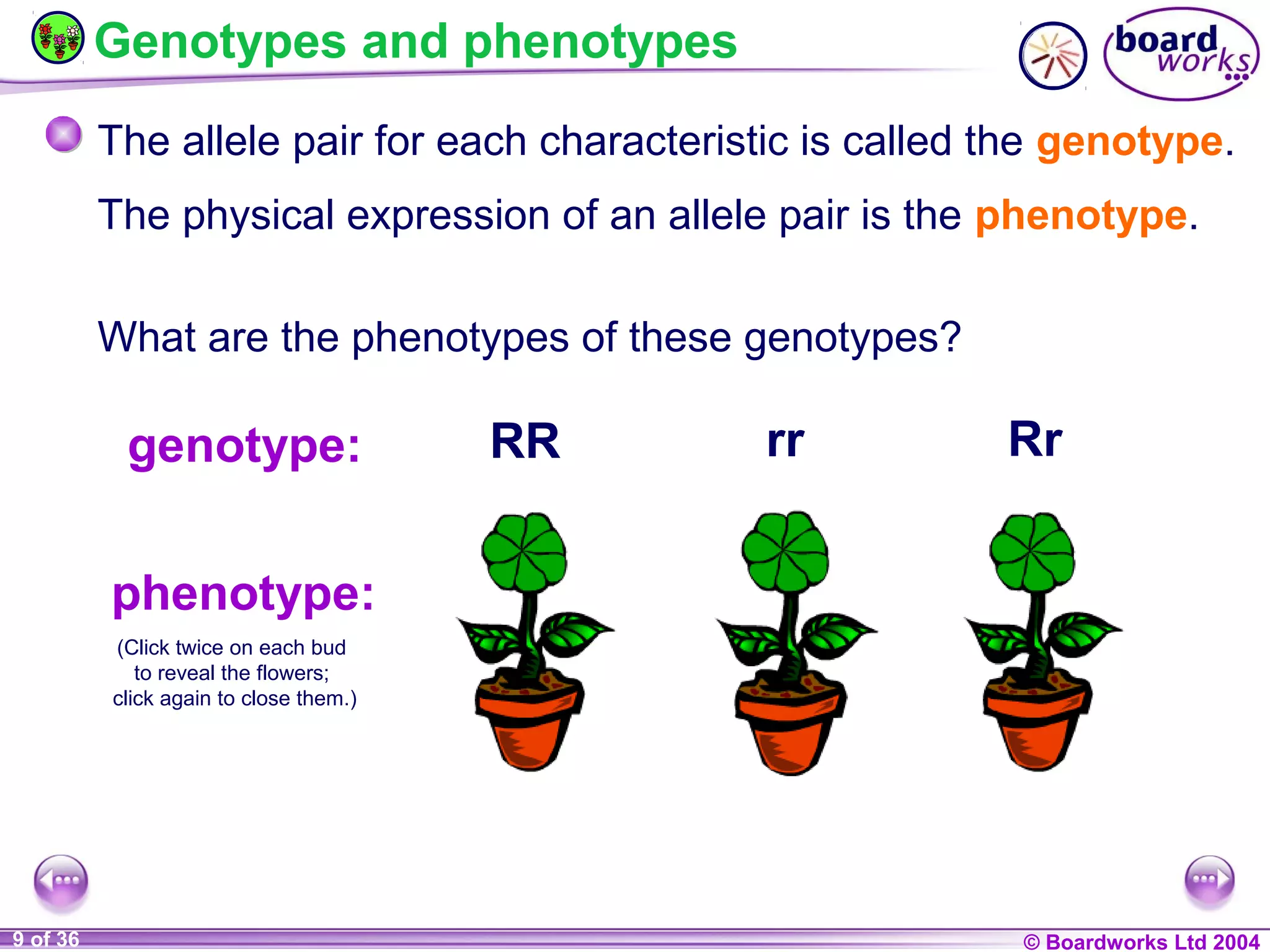 Ks4 inheritance | PPT