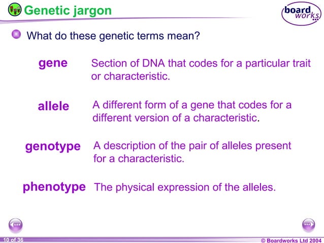 Ks4 inheritance | PPT