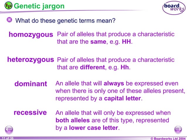 Ks4 inheritance | PPT