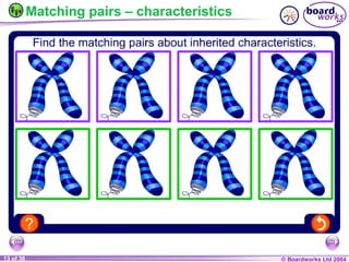 Ks4 inheritance | PPT