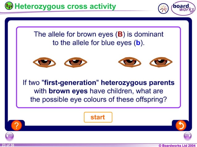 Ks4 inheritance | PPT