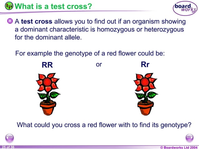 Ks4 inheritance | PPT