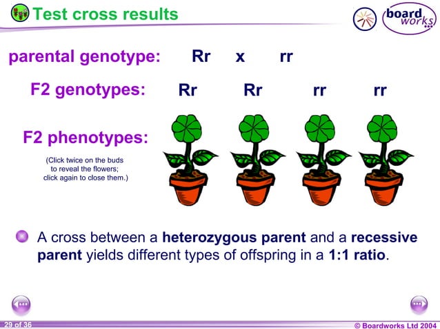 Ks4 inheritance | PPT