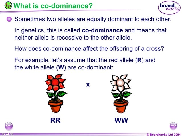 Ks4 inheritance | PPT
