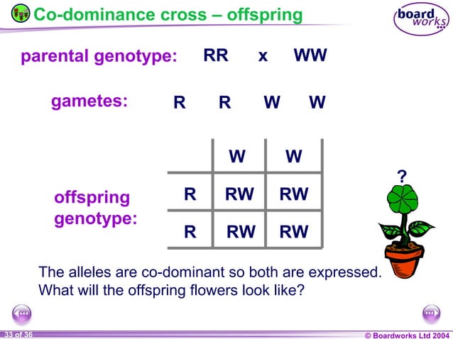 Ks4 inheritance | PPT