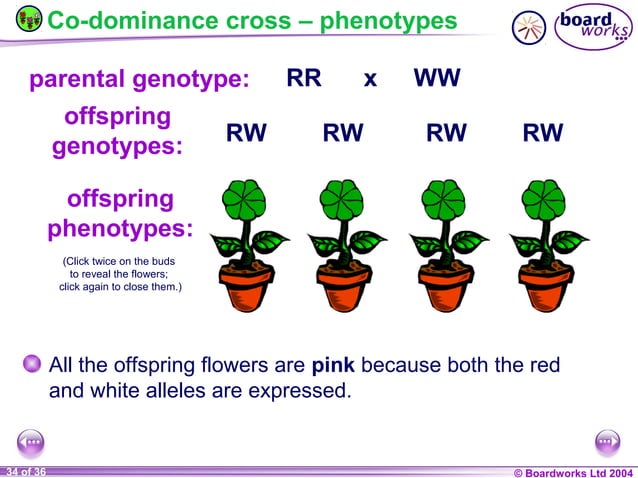 Ks4 inheritance | PPT