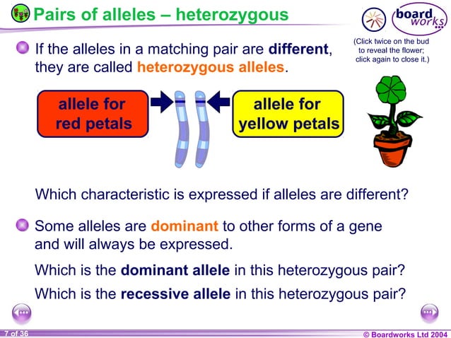 Ks4 inheritance | PPT